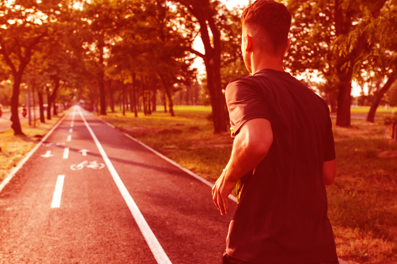 Runforest – Runforest.com